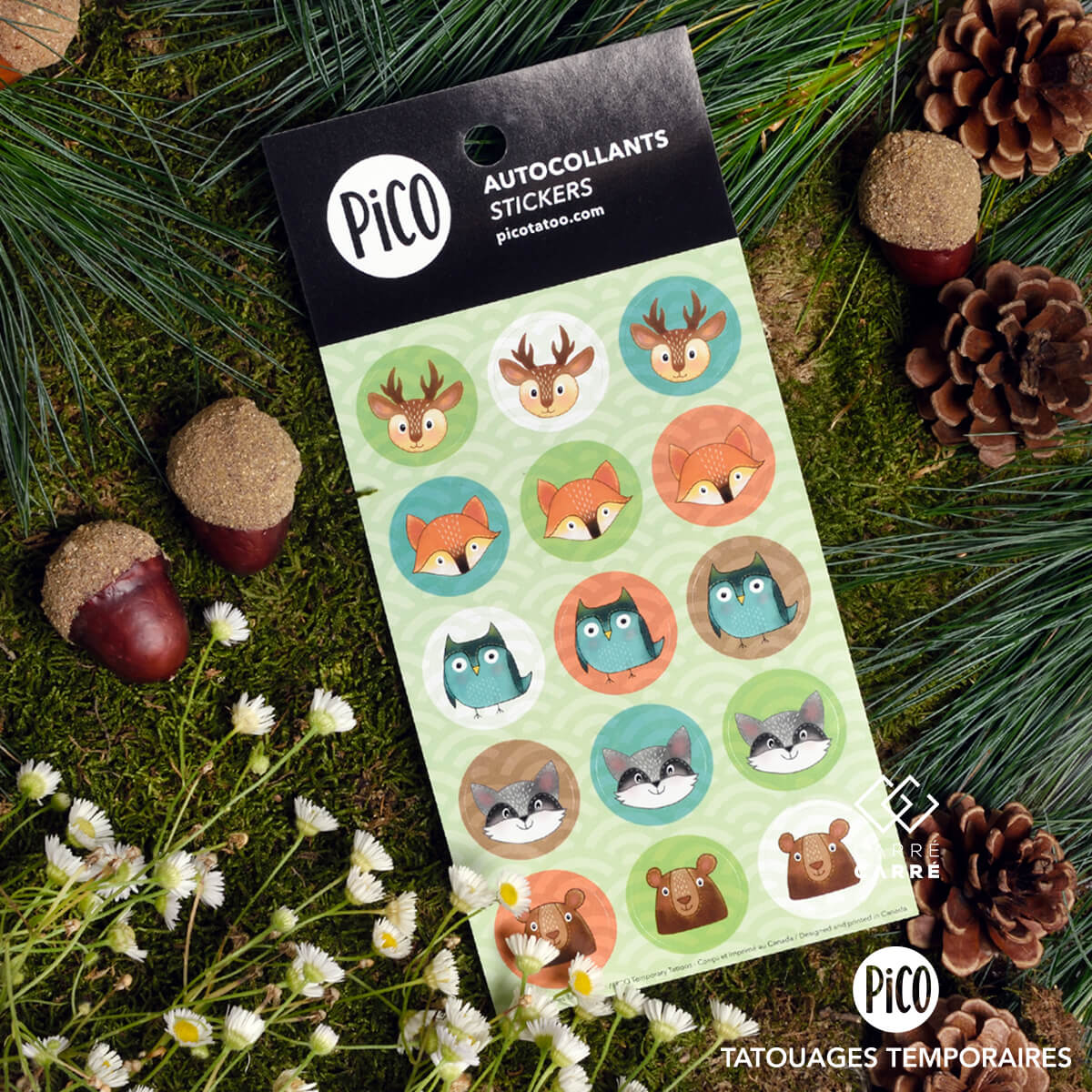 Pico Stickers - The Forest Animals – Klubhouse for Kids